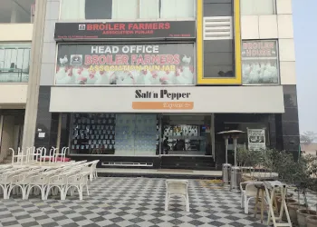 Salt N Paper | Home page